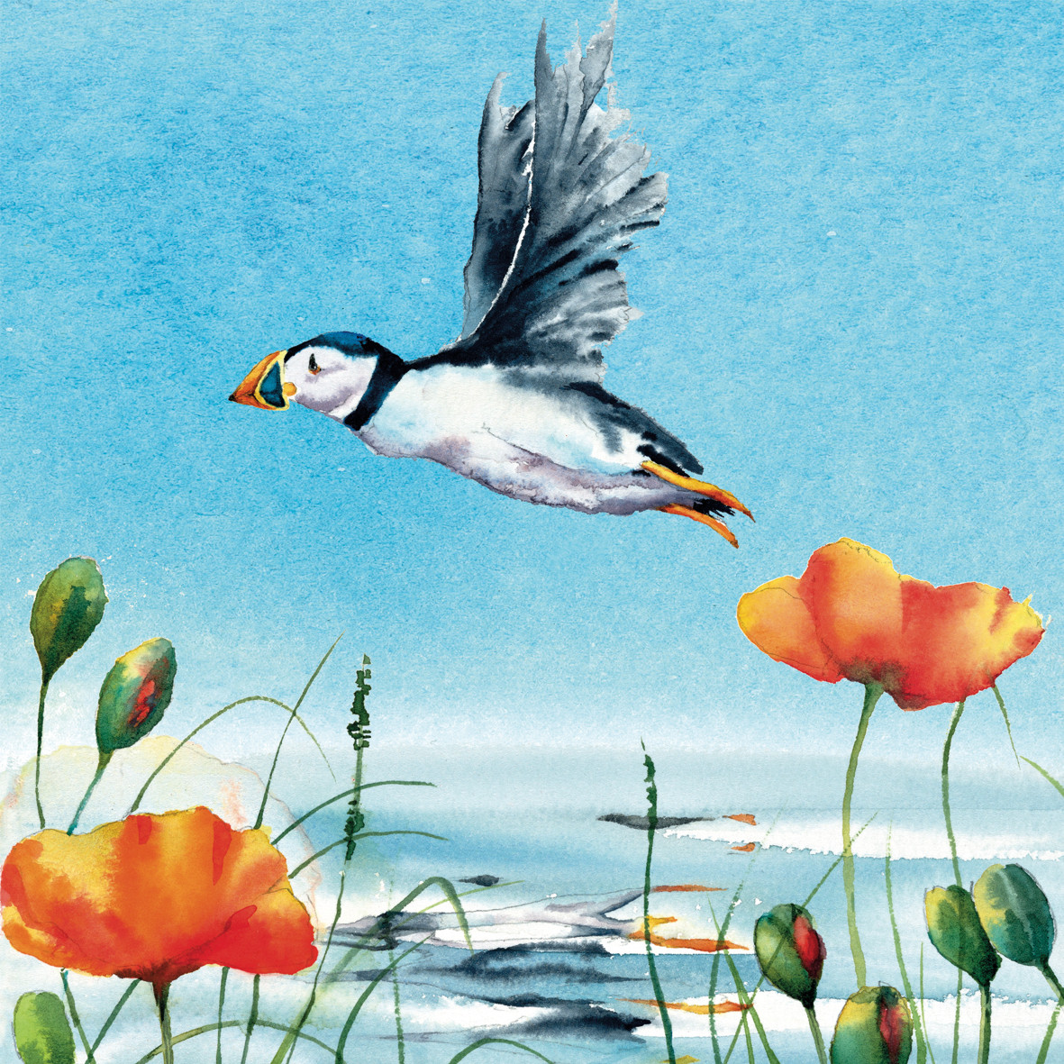 Poppies and Puffins Card by Rachel Toll - Cards and Gift Wrap